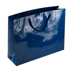 Navy Blue Paper Carrier Bags