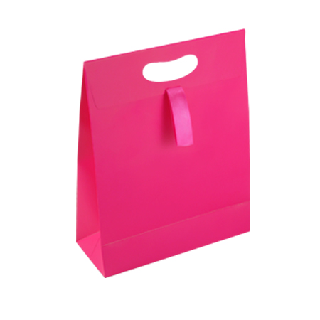 RDP88MM - Medium Dark Pink Matt Laminated Paper Gift Bags